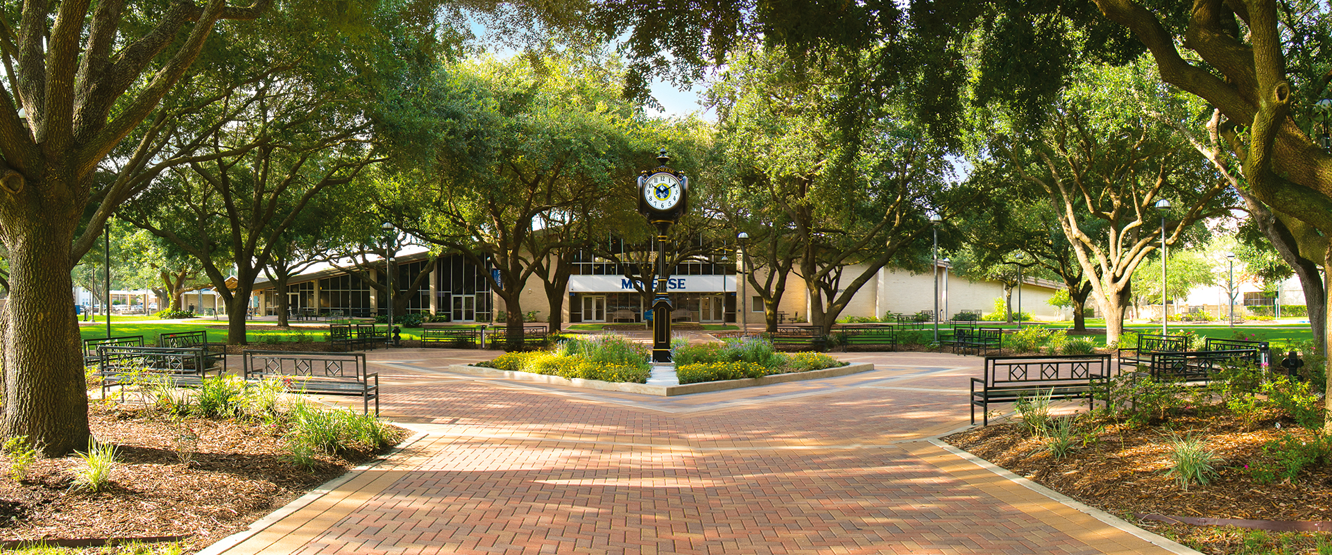 Study Abroad at McNeese State University, USA - In-Depth Guide & Apply Help